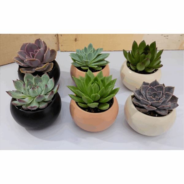 4" Sphere